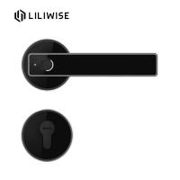 China N21 Smart Electronic Door Lock with WiFi Bluetooth APP, FPC Fingerprint Reader, 148mm Handle for 30-75mm Doors for sale