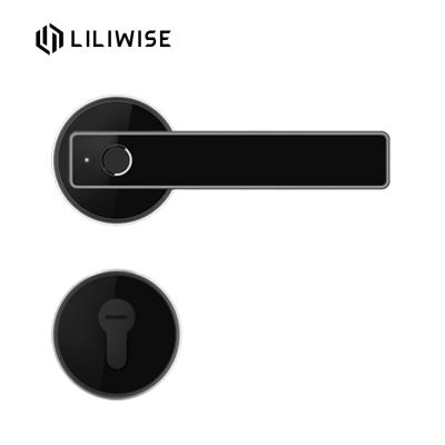 China N21 Smart Electronic Door Lock with WiFi Bluetooth APP, FPC Fingerprint Reader, 148mm Handle for 30-75mm Doors for sale