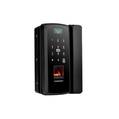 China Plastic Digital Fingerprint OLED Glass Sliding Door Lock with 3000+ Battery Cycles and 6V Power for 10-15mm Doors for sale