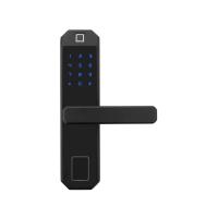 China WiFi Bluetooth Fingerprint Door Lock Zinc Alloy 300pcs Data Capacity Smart Lock for sale