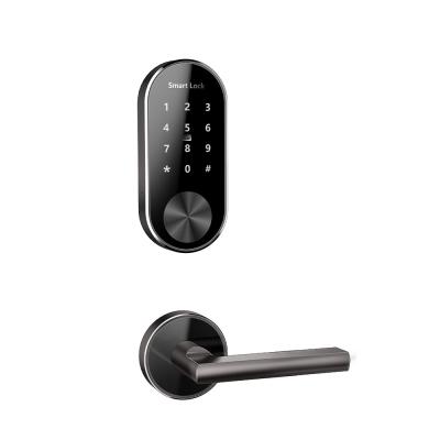 China WiFi Bluetooth Smart Apartment Door Lock with Password and App Control for Airbnb for sale