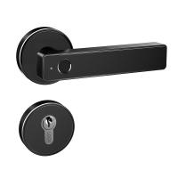 China Anti Theft Handle Split Latches Electronic Door Lock 148mm 6V Bluetooth Fingerprint for sale
