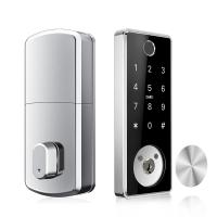 China T11B Smart WiFi Bluetooth Electronic Door Lock with 6 Access Methods and 150mm × 60mm Compact Design for sale