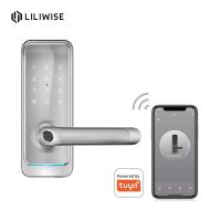 China Waterproof Bluetooth Smart Mortise Door Lock with Fingerprint FPC Reader 6V for sale