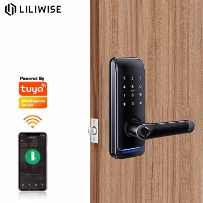 China Smart Lock for Gate Remote Control Tuya TTlock Electrical Panel 6-in-1 Fingerprint for sale