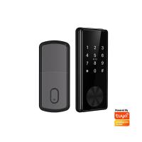 China Digital Automatic Smart Electronic Door Lock with Fingerprint WiFi for Apartment 150mm for sale