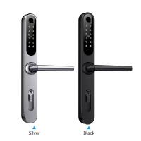 China SS304 Electronic Fingerprint Door Lock Waterproof Biometric Scanner System for sale