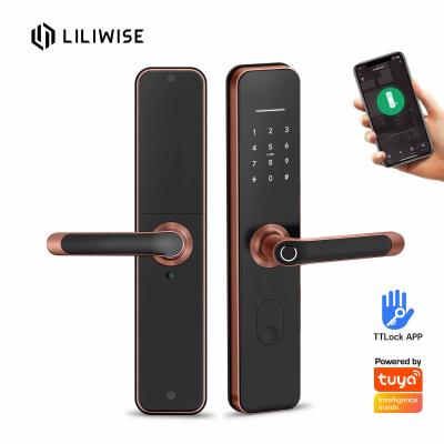 China High Security Smart Digital Keyless Lock with 6 Unlock Methods and 360mm × 72mm Aluminum Alloy Construction for sale