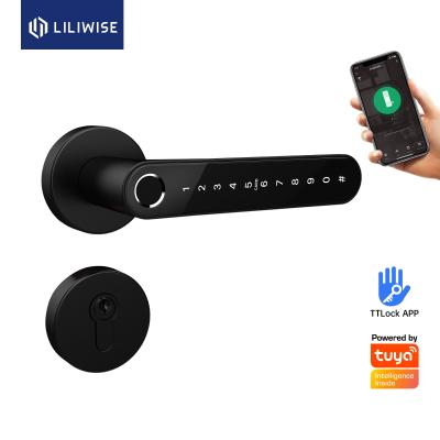 China Intelligent Electric Handle Wooden Door Lock with Fingerprint 6-in-1 Unlock 35-60mm Door Thickness for sale