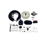 China LLANO 4 Cylinder CNG Autogas Conversion Kit For CNG GNV Kits for sale