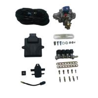 China CNG Mini Conversion Kits With 48 Pin ECU 4 Cylinder Injector Rail For CNG GNV Cars for sale