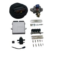 China 4 Cylinder Injector Rail 56 Pin ECU CNG Conversion Kits For GNV Auto Natural Gas Equipment for sale