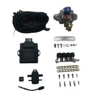 China CNG LPG Mini Conversion Kits Covers 32 Pin ECU 4 Cylinder Injector Rail LPG CNG Reducer for sale
