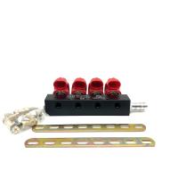 China 4 Cylinder LVTK04 LPG CNG Injector Rail For CNG / GPL Conversion Kits For All Cars for sale