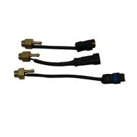 China LN-GTS Bronze CNG LPG Automotive Gas Temperature Sensor for sale