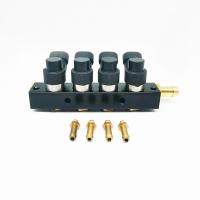 China 1 Ω high speed 4 Cylinder LN-LHS04 LPG CNG Injector Rail For CNG / GPL Conversion Kits For All Cars for sale
