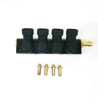 China 4 Cylinder 1 Ohm High Speed LPG CNG Injector Rail LN-LHS04 For All Cars for sale