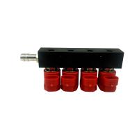 China Cylinder Number 4 Alloy Injector Rail 3 Ohm For CNG Or LPG Cars for sale