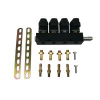 China Alloy 12V LPG CNG Injector for 4 Cylinder Vehicles Professional Tested 3 Ohm Resistance for sale