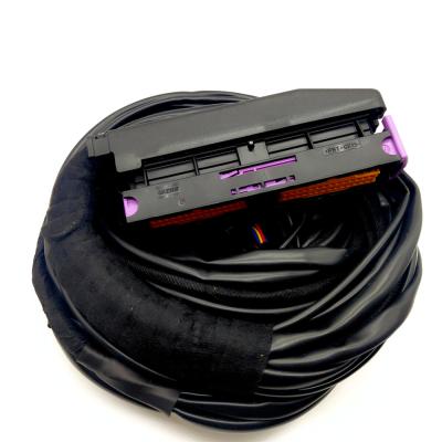 China LLANO DC12V 2 Ohm 4 Cylinder LPG CNG Injector Rail for Natural Gas Vehicles for sale
