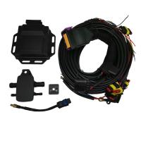 China 12V 4 Cylinder CNG/LPG ECU for Multipoint Fuel Injection System for sale
