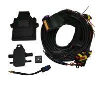 China Black 3/4 Cylinder ECU Professional Testing Meets Standard For CNG/LPG Multi point Engine for sale