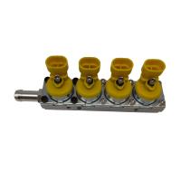 China 20MPA Working Pressure CNG LPG Conversion Kit with 48 Pin ECU for Fuel Efficiency Improvement for sale