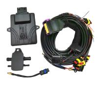 China DIY Installation CNG LPG Conversion Kit with 20MPA Pressure for Better Engine Performance ISO 9001 Certified for sale