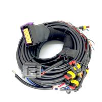 China CNG LPG Sequential Injection 24 Pin Car Wiring Harness For 4 Cylinder ECU for sale