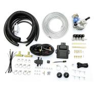 China ISO9001 Petrol Fuel Auto LPG Gas Conversion Kit For Cars 4 Cylinder for sale