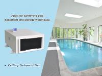 China 240L/D Ceiling Mounted Dehumidifier Industrial Grow Room Greenhouse Dehumidifiers for Indoor Swimming Pools for sale