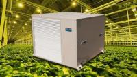 China 255 Pints Greenhouse Ceiling Mounted Dehumidifier Grow Room Big Capacity Dehumidifier for Indoor Agriculture for sale