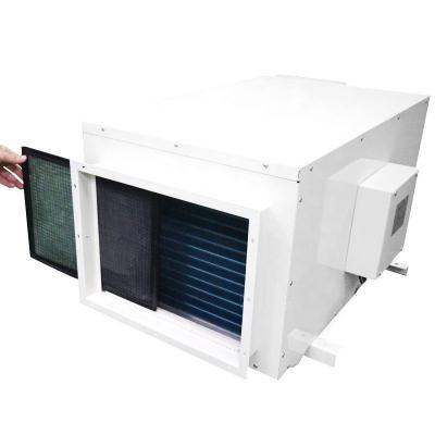 China 150L/D Low Temperature Resistant  Wall Ceiling Mounted Dehumidifier Greenhouse Grow Room Desumidificador for Industry for sale