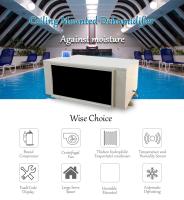 China 480L/D Factory Price Commercial Dehumidifier Ceiling Air Dryer Dehumidifier Moisture Absorber Cooling Wall Dehumidifier for sale