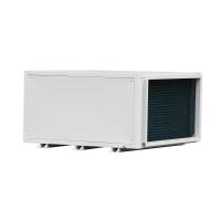 China 480L/D Factory Price Commercial Dehumidifier Ceiling Air Dryer Dehumidifier Moisture Absorber Cooling Wall Dehumidifier for sale