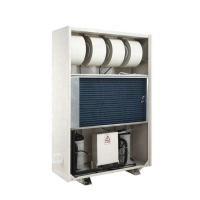 China 360L/D How Temperature Resistant  Big Capacity Industrial Dehumidifier Swimming Pool Greenhouse Dehumidifier for Industry for sale