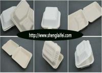 China 3 Compartment Biodegradable Disposable Microwave Fast Food Container for sale
