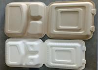 China Disposable biodegradable takeaway bagasse sugarcane pulp food container with lid for sale
