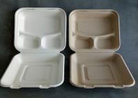 China 9 inch Outdoors Takeaway Food Containers Disposable Lunch Biodegradable Container for sale