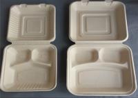 China 9 inch Outdoors Takeaway Food Containers Disposable Lunch Biodegradable Container for sale