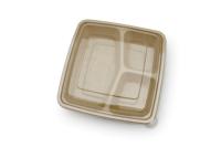 China biodegradable sugarcane bagasse food container with pla plastic lid for sale