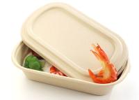 China diaposable paper pulp take away food fruit contianer lunch box for sale