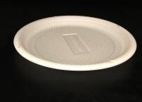 China Sugarcane Bagasse Disposable Food Box Container 26x20x3.5 cm Biodegradable Eco Friendly for sale