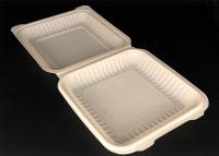 China Sugarcane Bagasse Disposable Food Box Container 26x20x3.5 cm Biodegradable Eco Friendly for sale