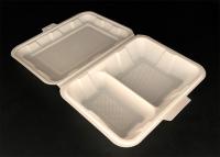 China Sugarcane Bagasse Disposable Food Box Container 26x20x3.5 cm Biodegradable Eco Friendly for sale