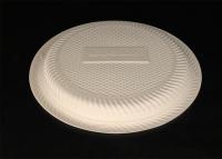 China Sugarcane Bagasse Disposable Food Box Container 26x20x3.5 cm Biodegradable Eco Friendly for sale