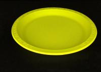 China Sugarcane Bagasse Disposable Food Box Container 26x20x3.5 cm Biodegradable Eco Friendly for sale