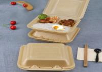 China Biodegradable 3 Compartment Clamshell Food Container 8 Inch 26x20x3.5 cm for sale