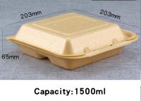 China Biodegradable Corn Starch Food Container Disposable Box 26x20x3.5 cm for sale