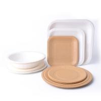 China Biodegradable 8oz to 20oz Custom Printed Disposable Paper Coffee Cup with PE Lining for sale